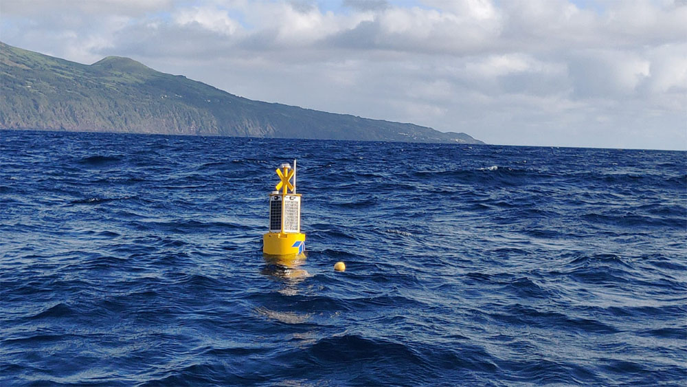 What do you use hydrophones for?